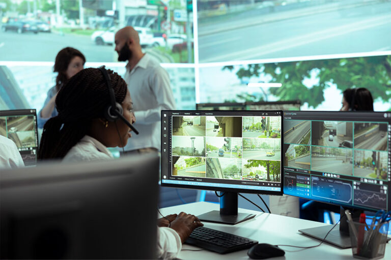 Blackhawk Security - Honolulu Custom Security & Integration